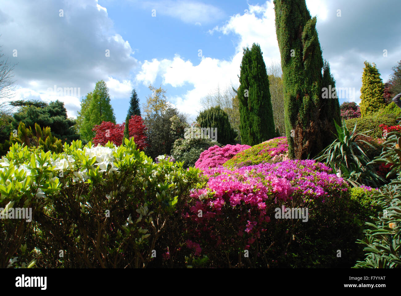 Leonardslee gardens hi-res stock photography and images - Alamy
