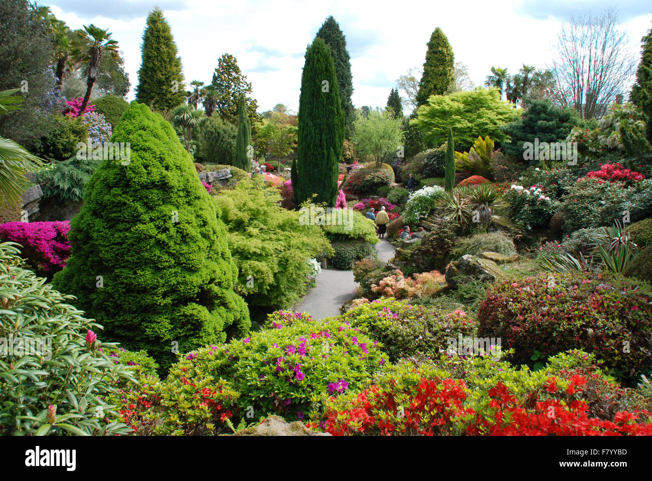 Azaleas in Rock Garden at Leonardslee Gardens Stock Photo - Alamy