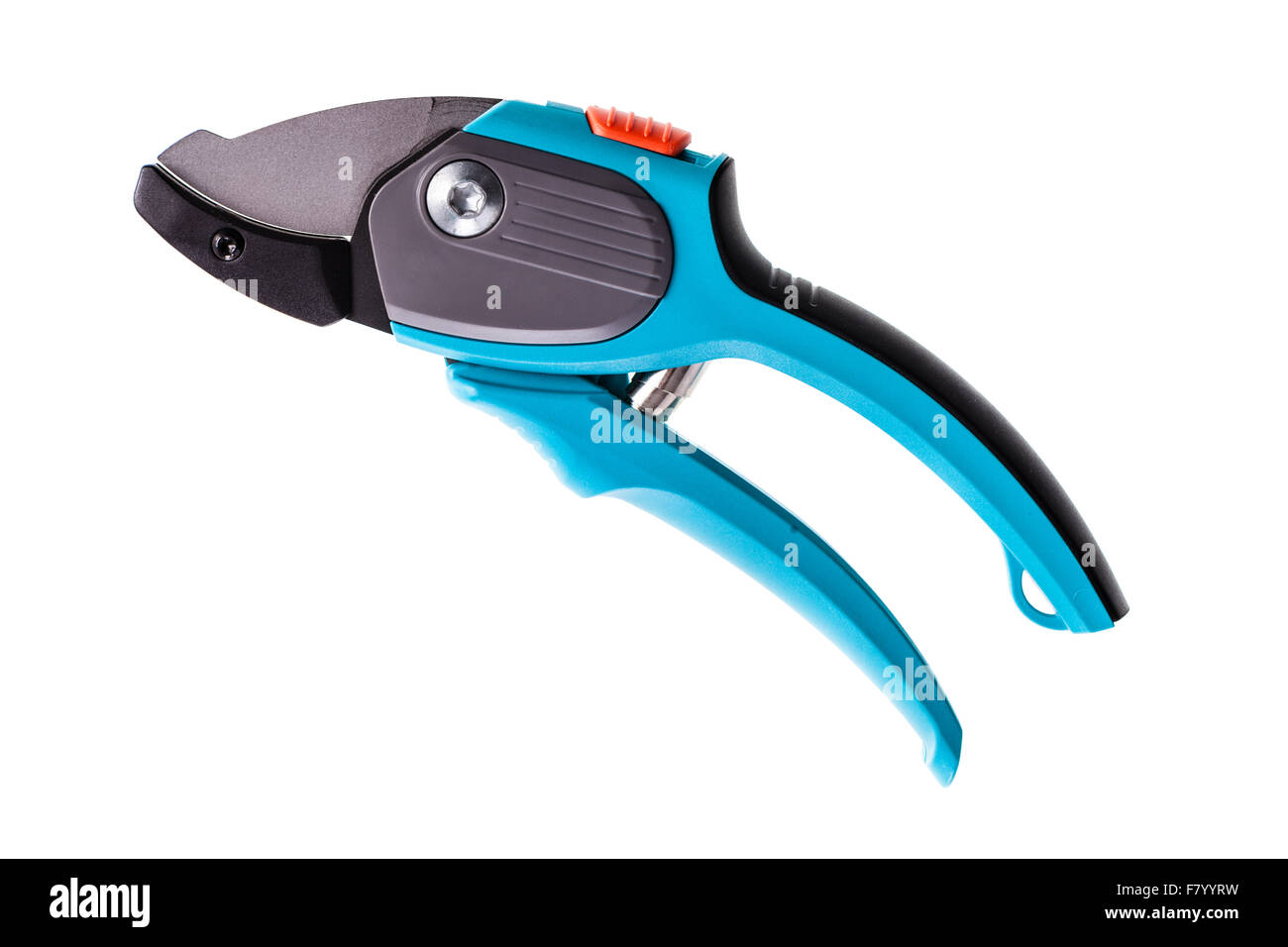 blue garden secateurs isolated over a white background Stock Photo - Alamy