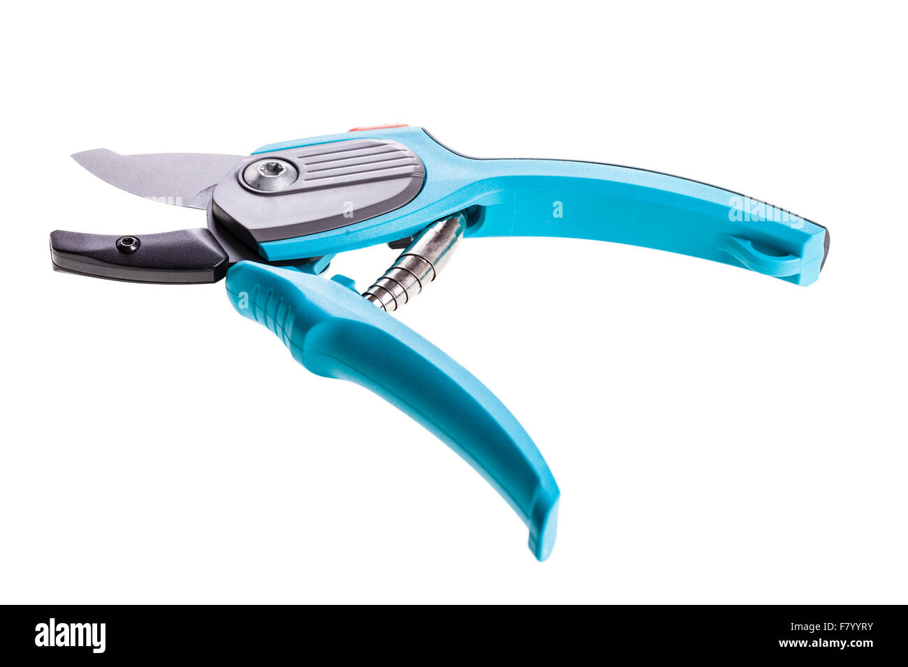 blue garden secateurs isolated over a white background Stock Photo - Alamy