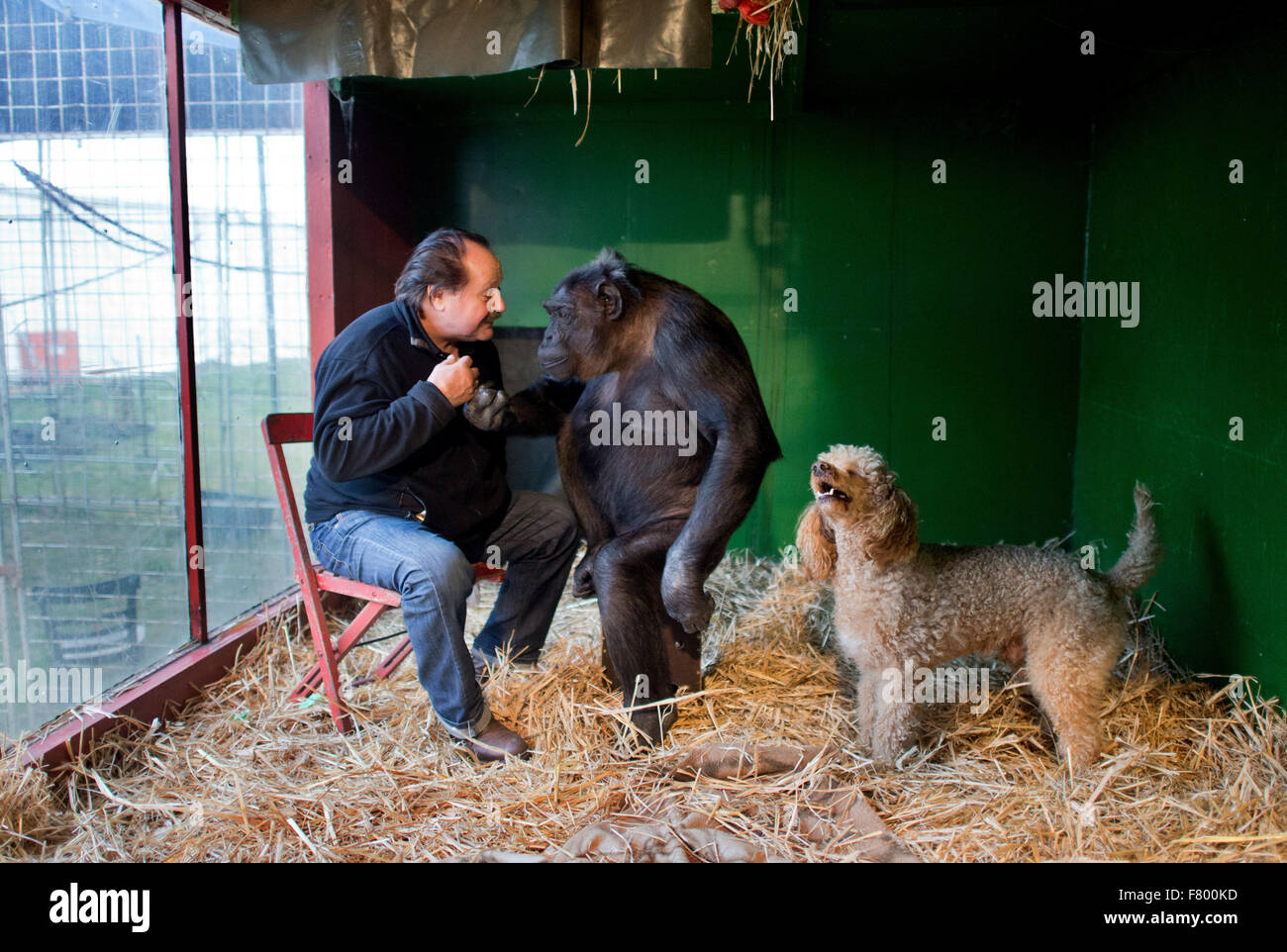 Circus manager hi-res stock photography and images - Alamy