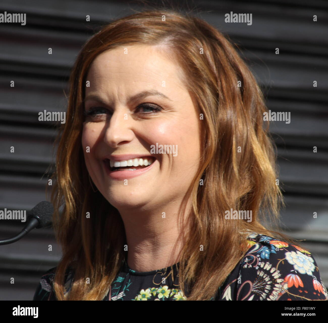 Hollywood, California, USA. 2nd Dec, 2015. I15794CHW.Amy Poehler ...