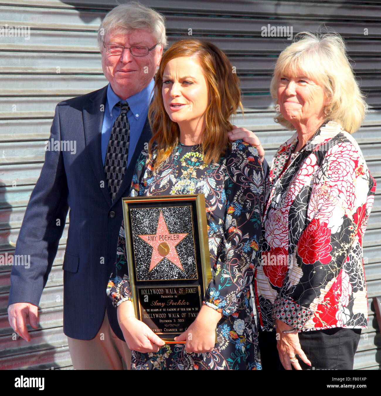 Hollywood, California, USA. 2nd Dec, 2015. I15794CHW.Amy Poehler ...