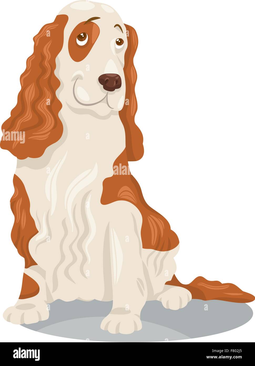 cocker spaniel dog cartoon illustration Stock Vector Image & Art - Alamy