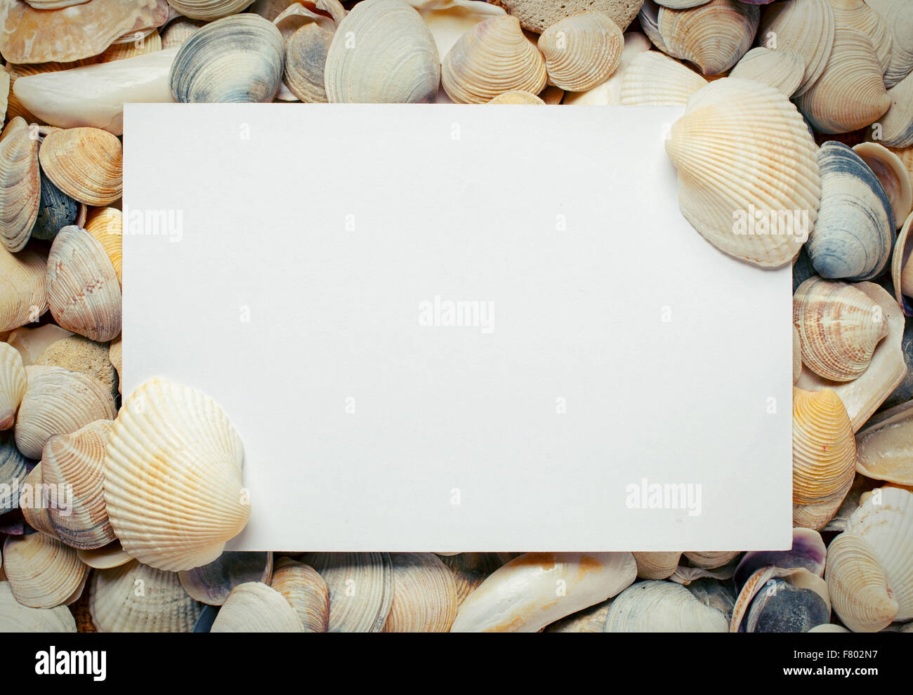 blank sheet of paper on sea Shell background Stock Photo - Alamy