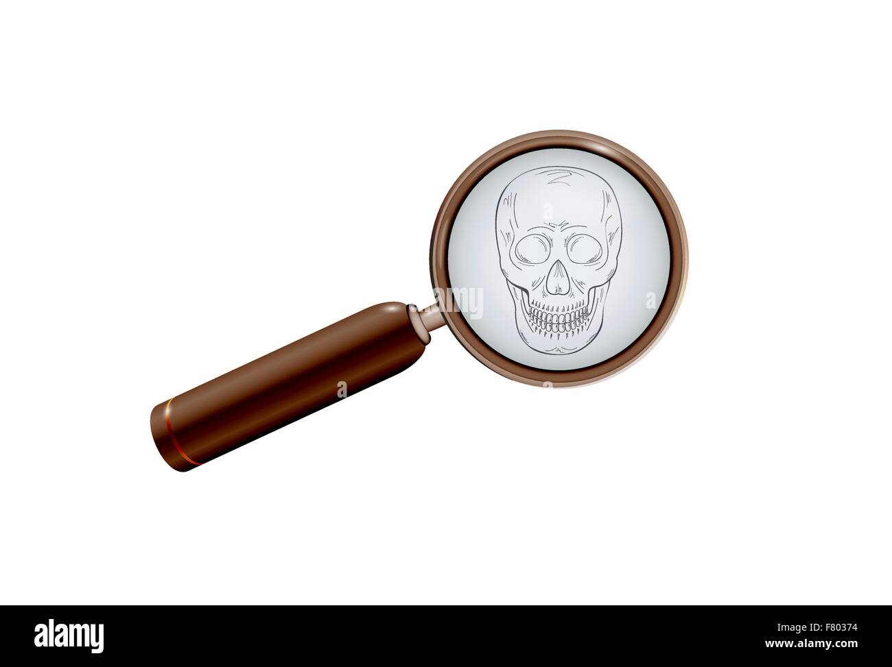skull and magnifying glass Stock Vector Image & Art - Alamy