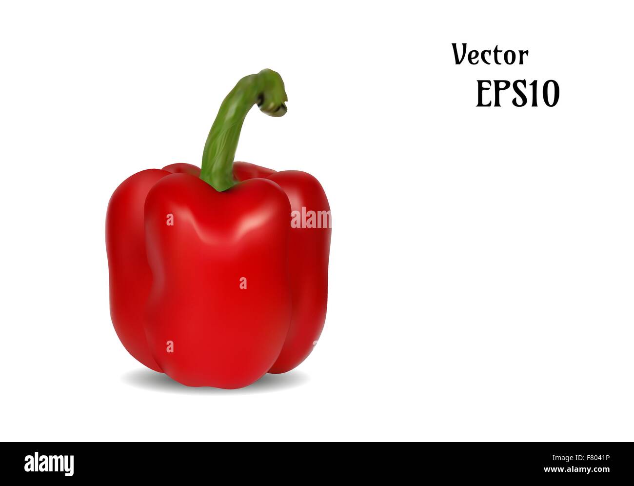 realistic capsicum illustration, vector Stock Vector Image & Art - Alamy