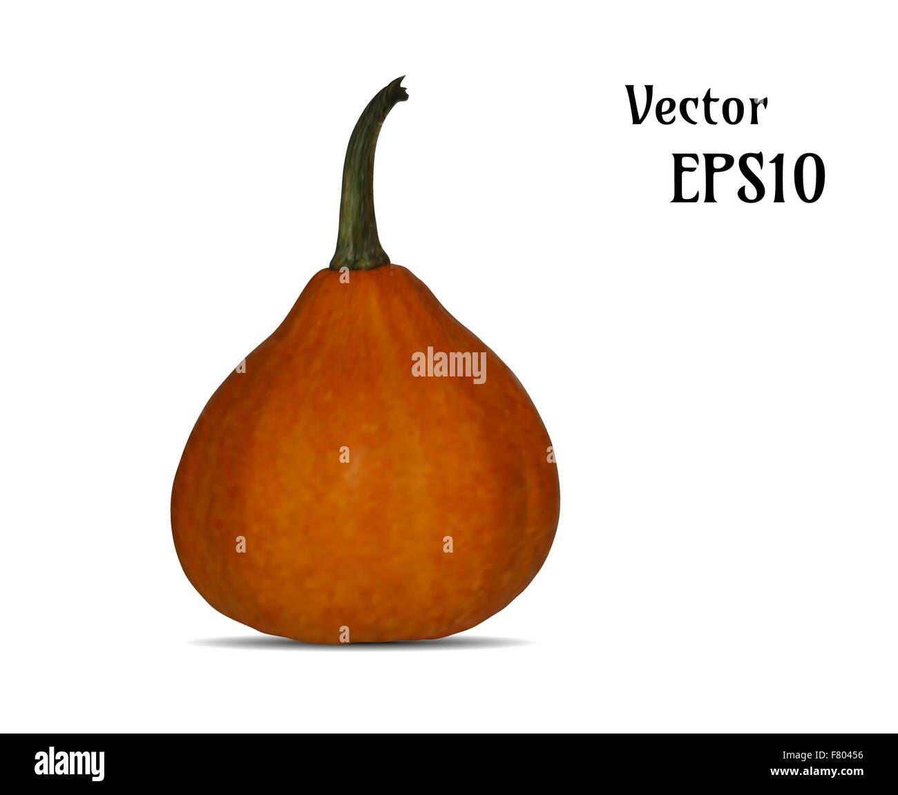 realistic pumpkin illustration, vector Stock Vector Image & Art - Alamy