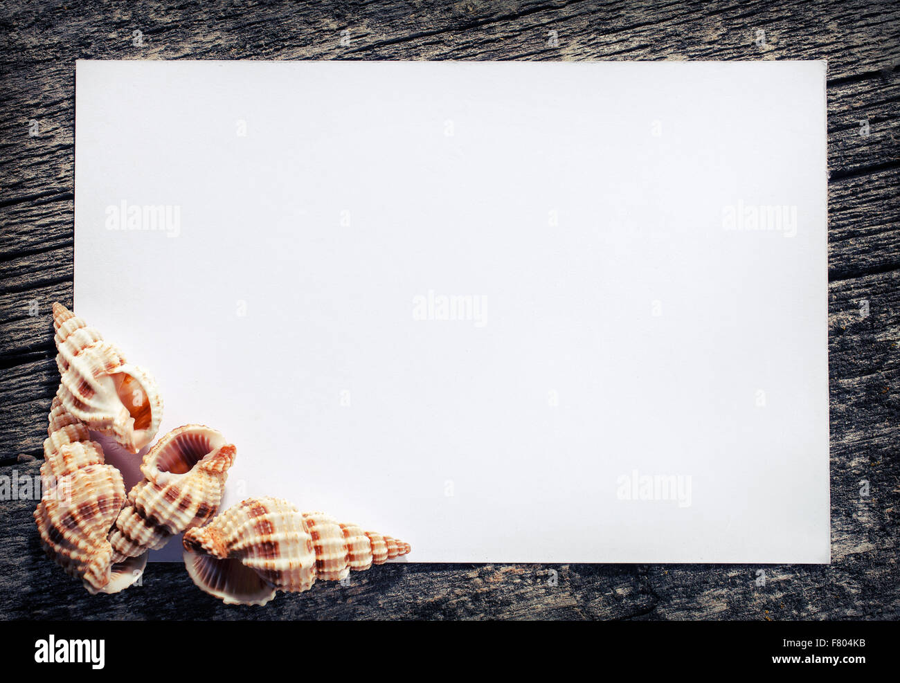 blank sheet of paper and shells on wooden background Stock Photo - Alamy