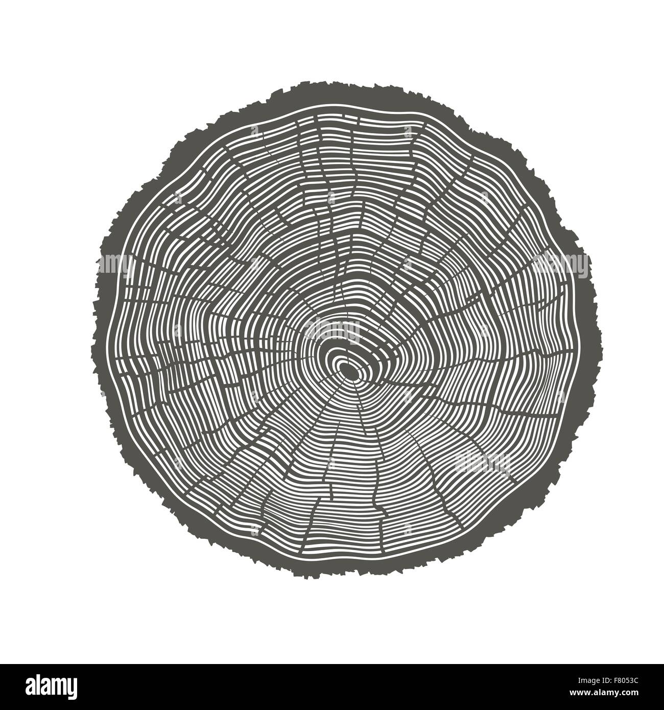 Annual tree rings Stock Vector Images - Alamy