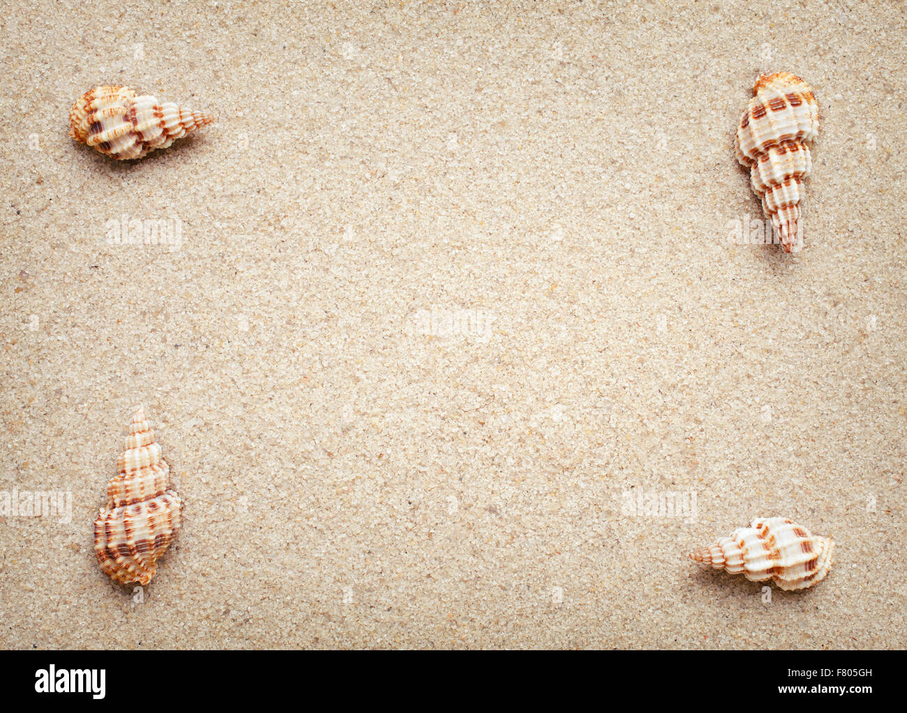 Sea shells frame on sand Stock Photo - Alamy