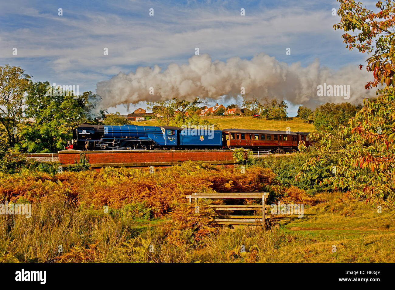 A1 Pacific no 60163 Tornado at Darnholme on North Yorkshire moors Stock ...