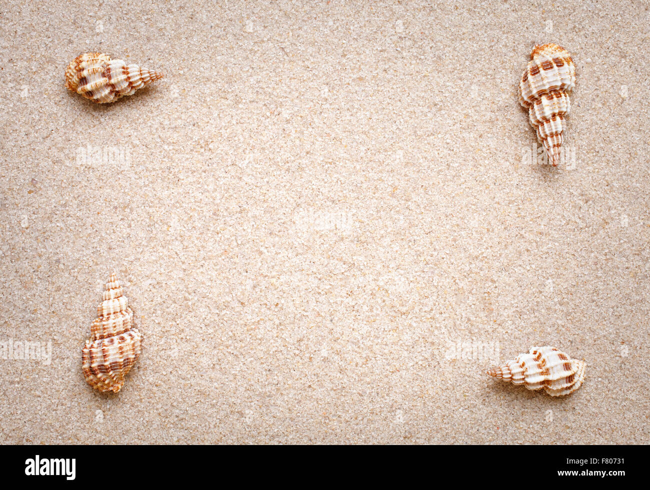 Sea shells frame on sand Stock Photo - Alamy