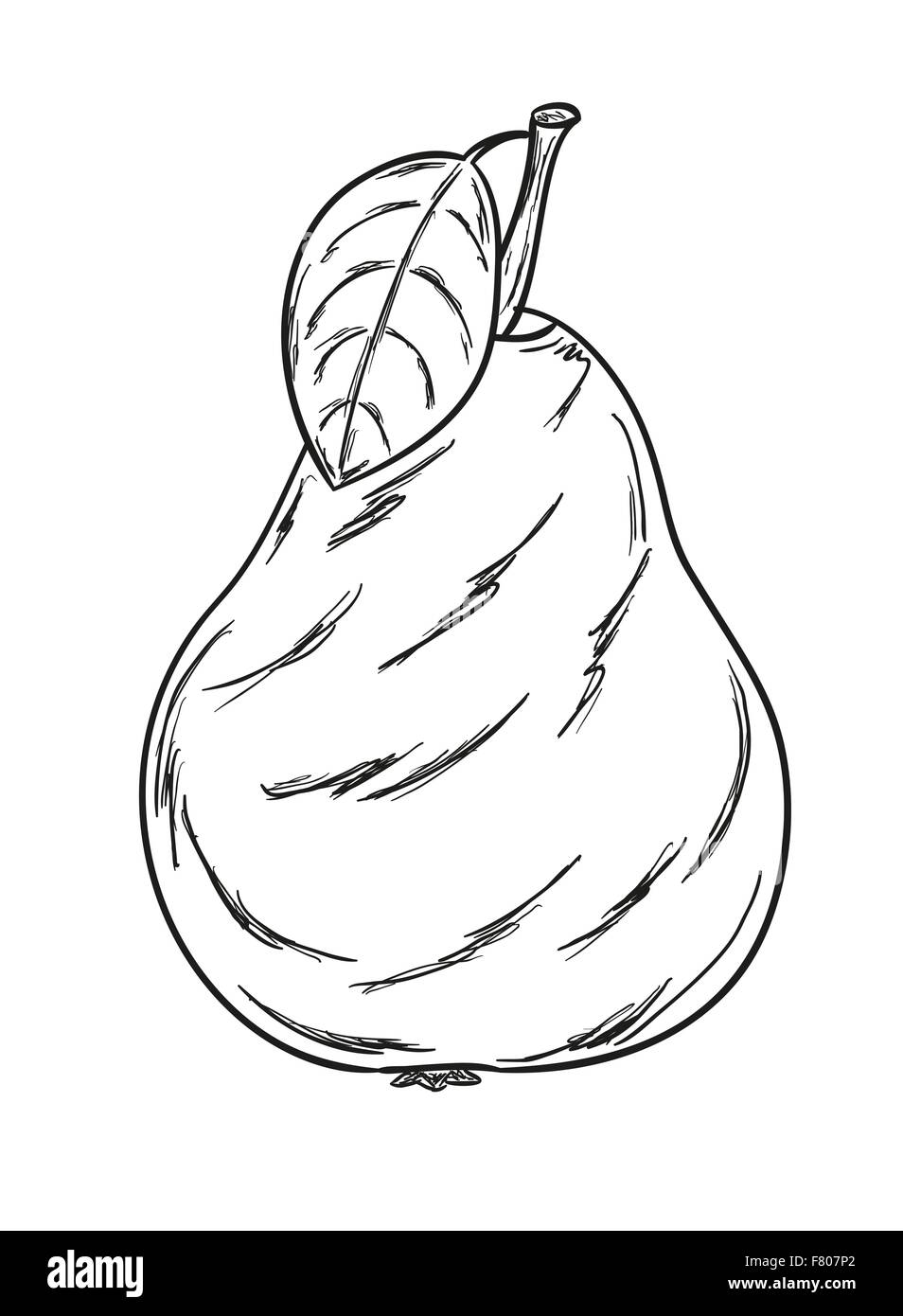 Free natural pear Stock Vector Images - Alamy