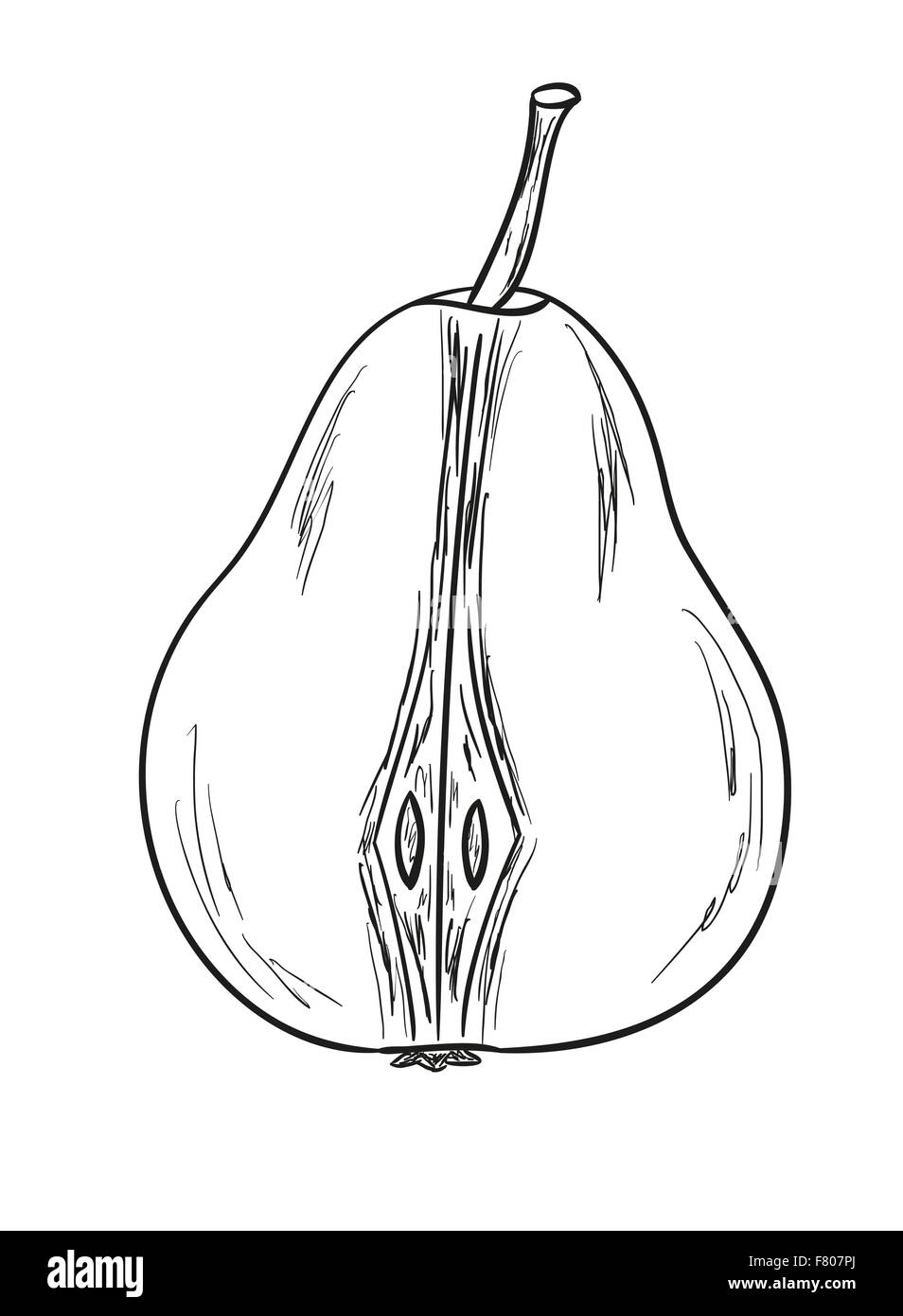 Pear green sketch hand Stock Vector Images - Alamy