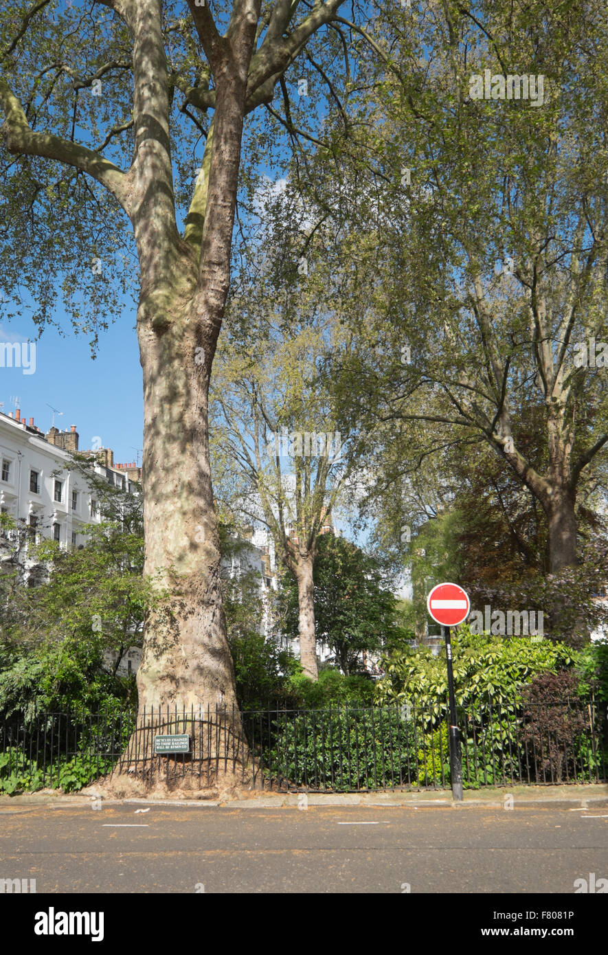 Gardens in London's Ovington Square Stock Photo - Alamy