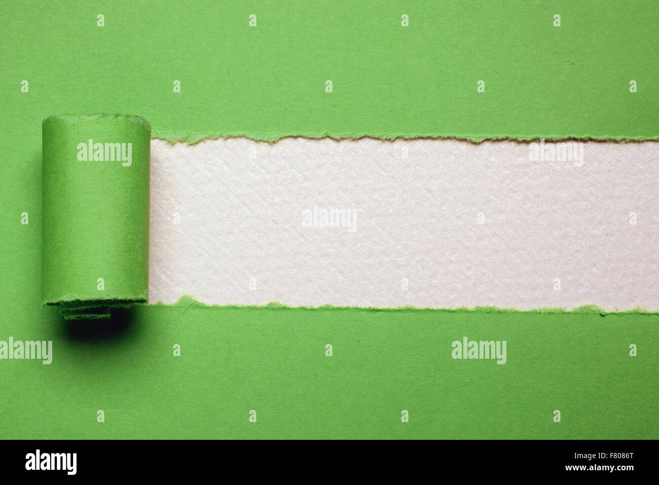 green Torn paper with white background Stock Photo - Alamy