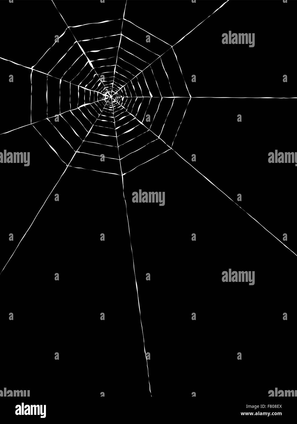 Spider web design Black and White Stock Photos & Images - Alamy