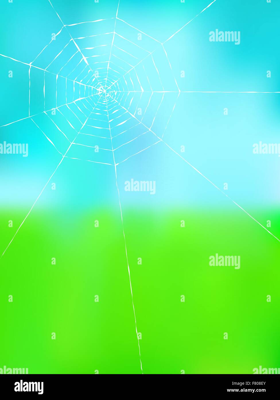Cobweb spider on background Stock Vector Images - Alamy