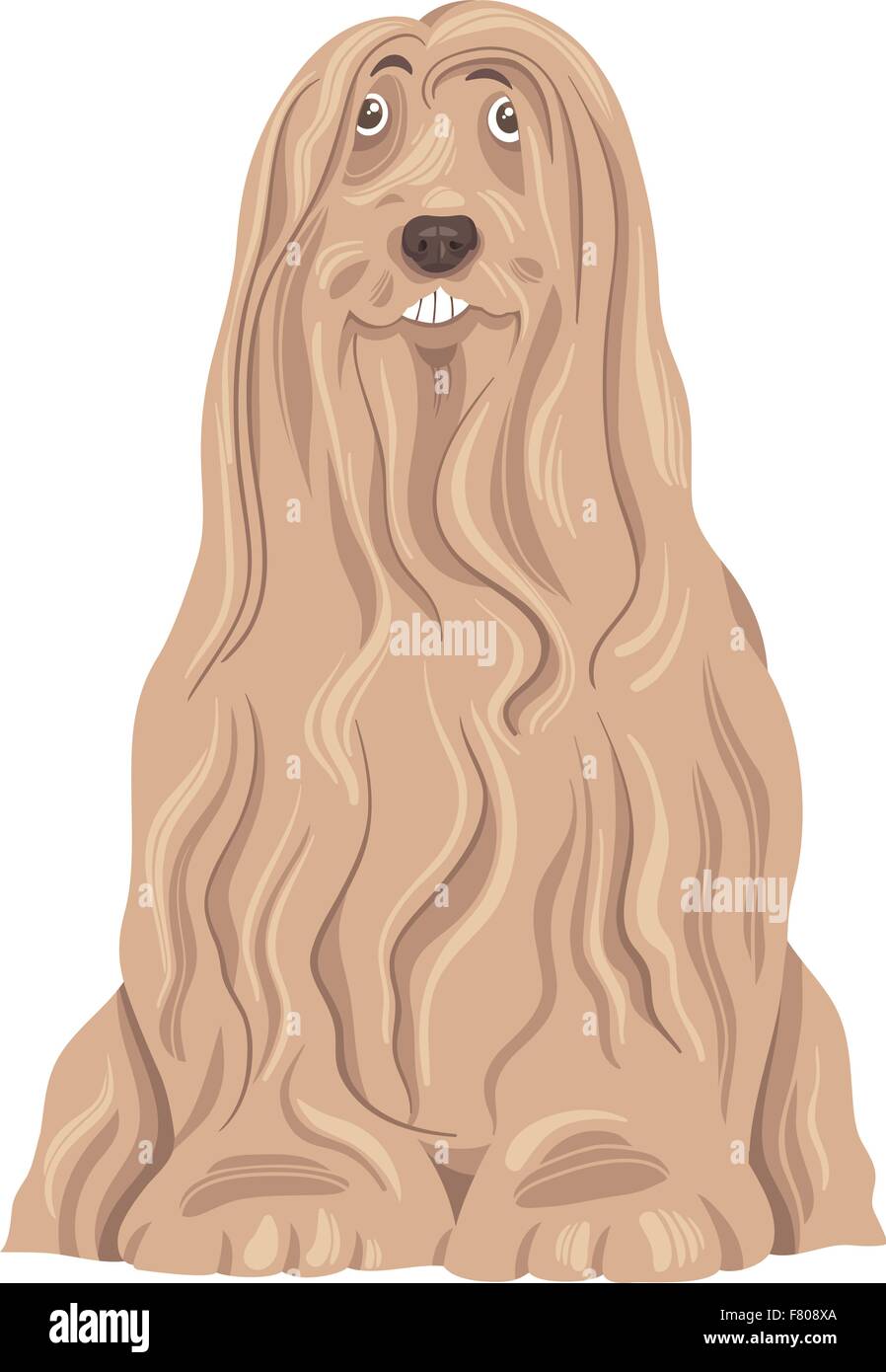 Bearded collie dog cartoon Stock Vector Images - Alamy