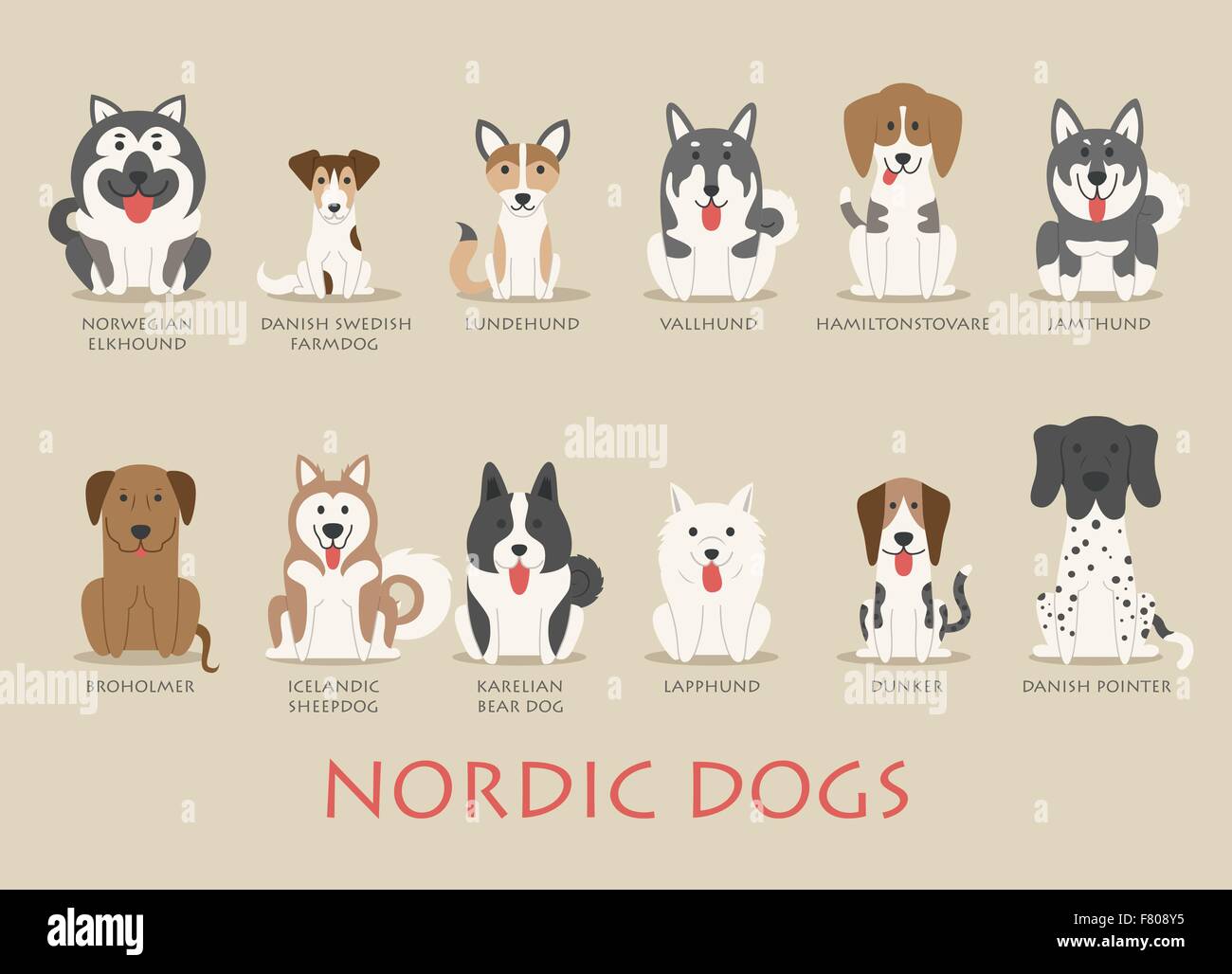 Set of nordic dogs Stock Vector Image & Art - Alamy