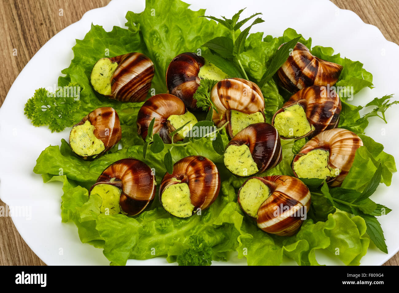French cuisine - Escargot with butter, parsley and salat leaves Stock ...