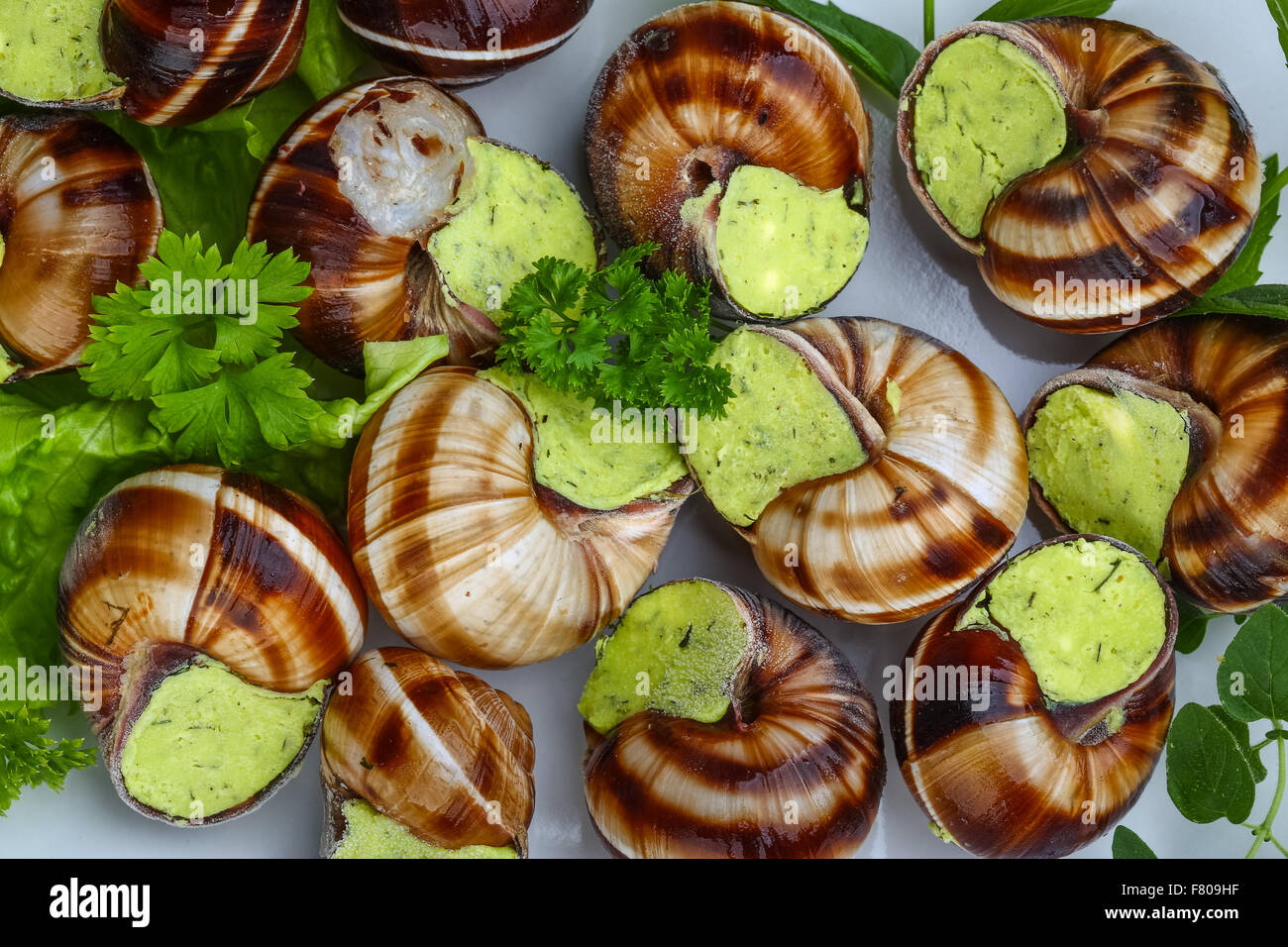 Escargot with parsley butter with salat leaves and mint Stock Photo - Alamy