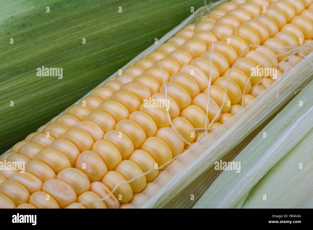 Sweet raw fresh corn on the wood background Stock Photo - Alamy