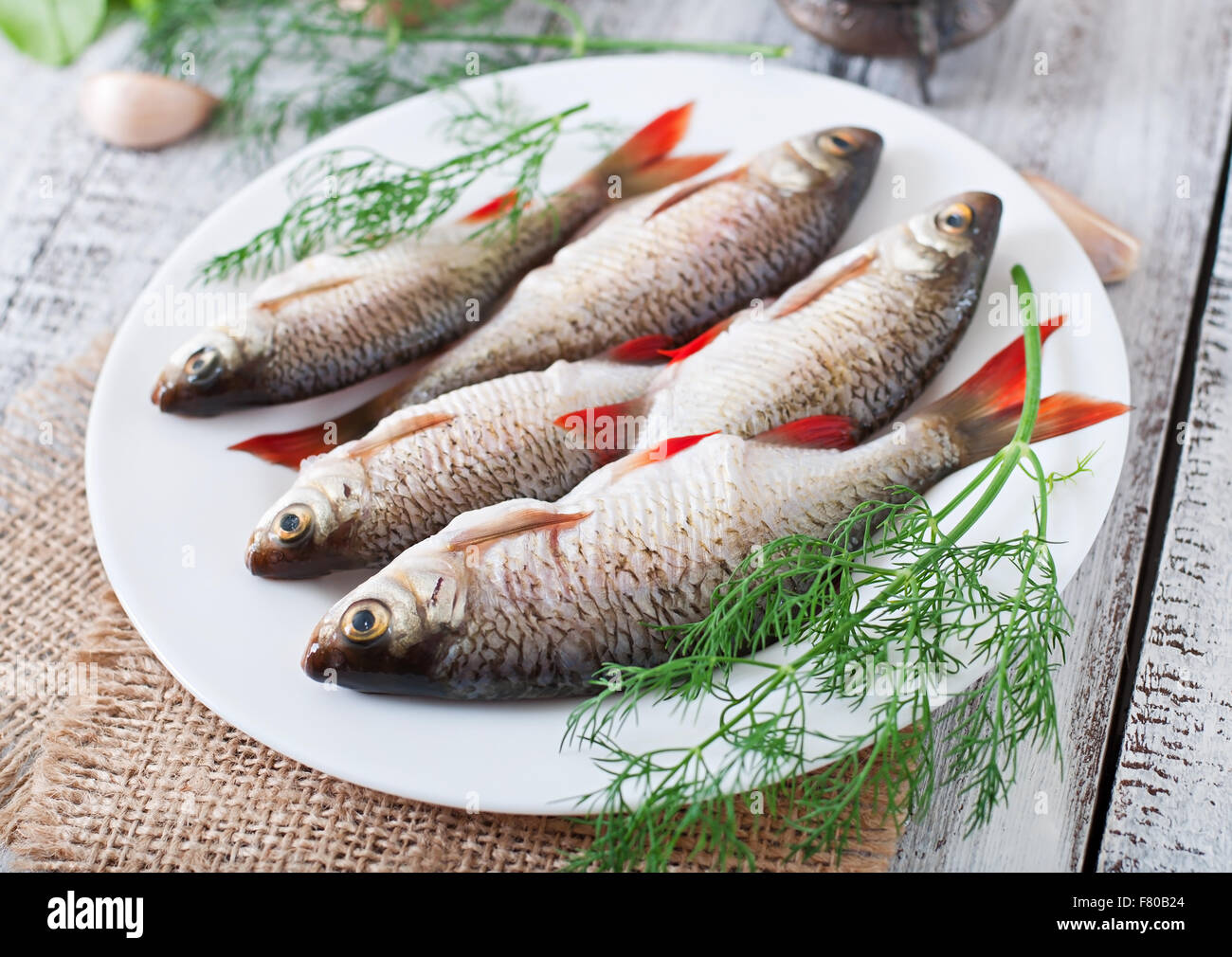 Roach Fish High Resolution Stock Photography and Images - Alamy