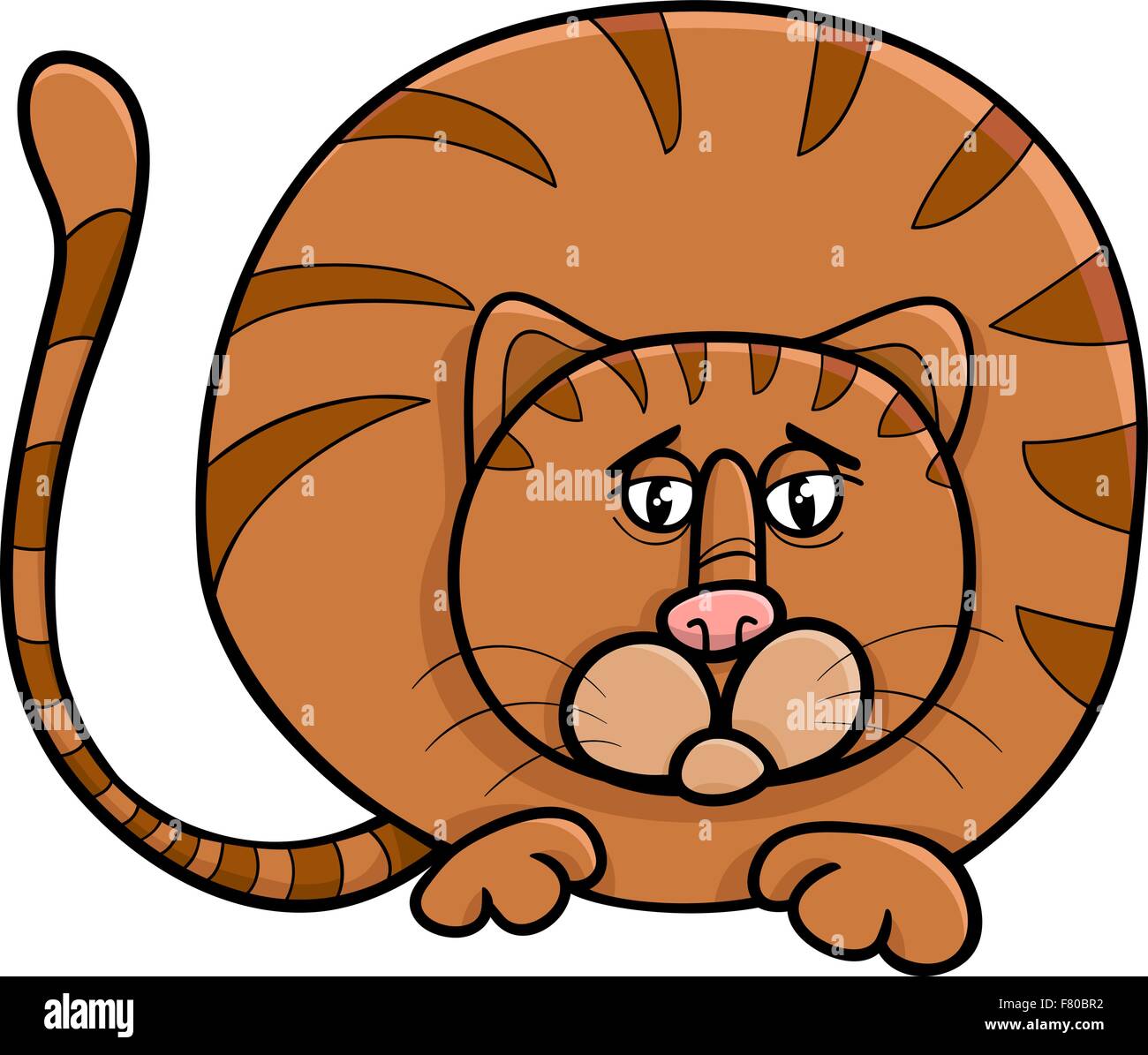 fat cat character cartoon illustration Stock Vector Image & Art - Alamy