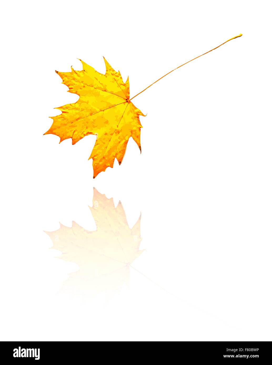 Colorful maple leaf Stock Vector Images - Alamy