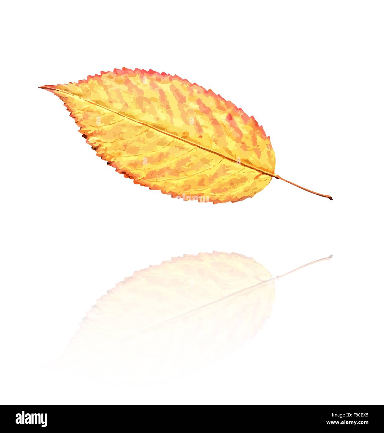 Single dry leaf Stock Vector Images - Alamy