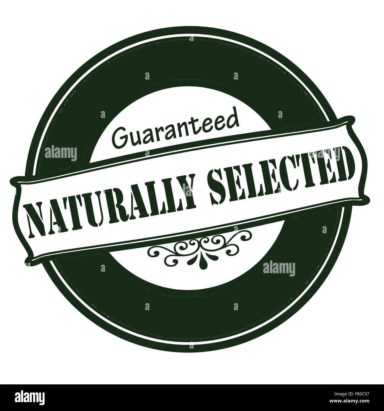 Selected stamp hi-res stock photography and images - Alamy