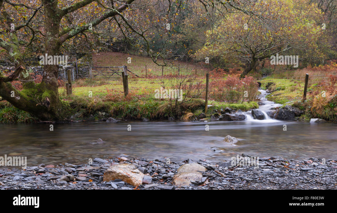 River flowing through Snowdonia National Park in autumn Stock Photo - Alamy