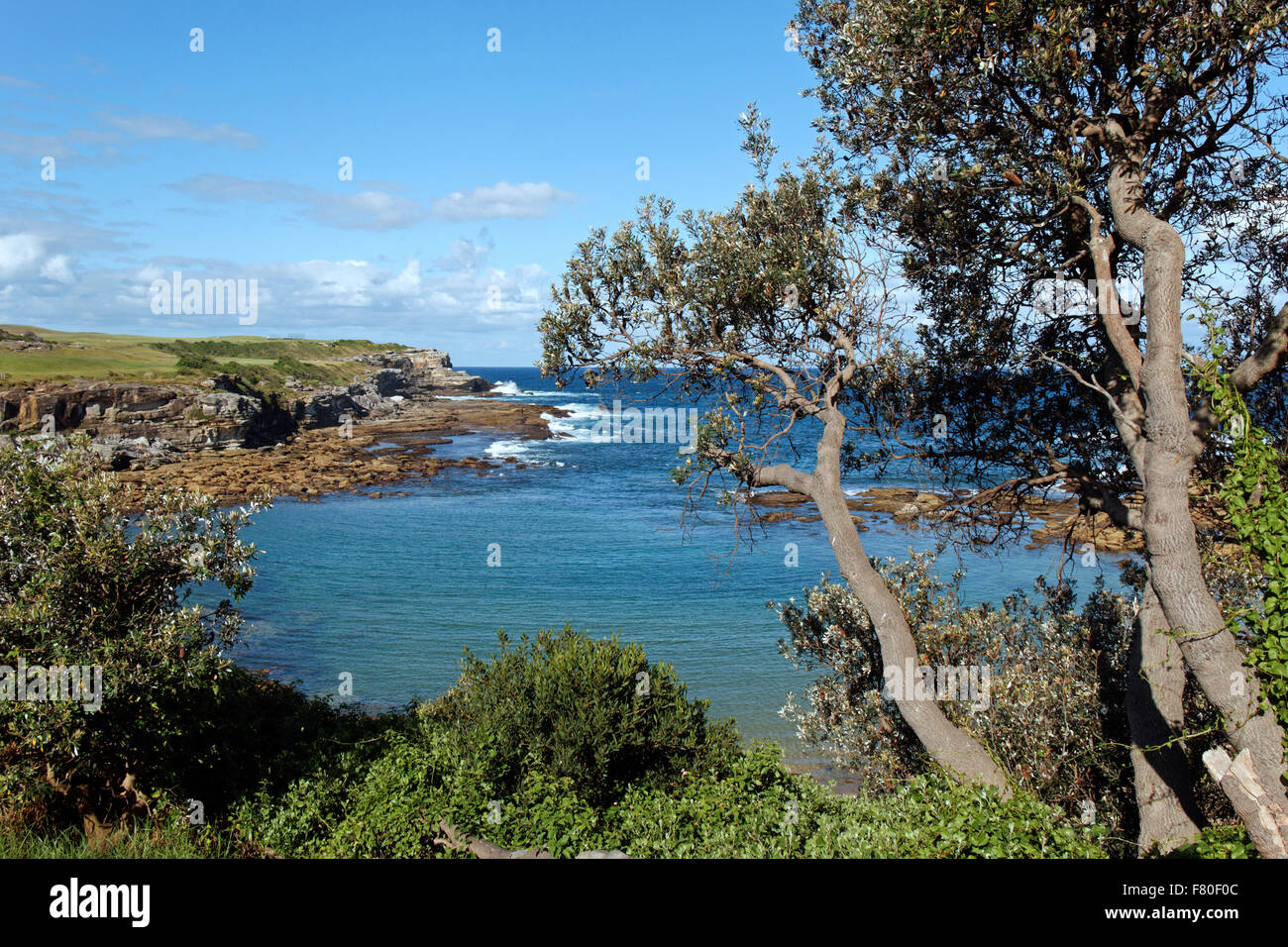 Little australia hi-res stock photography and images - Alamy