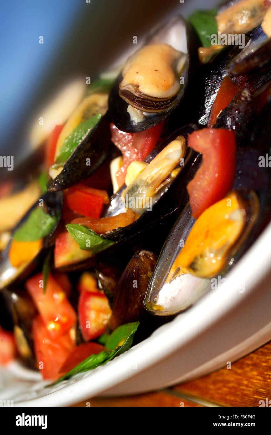 Mussel dish / Close up of plate of moules Stock Photo - Alamy