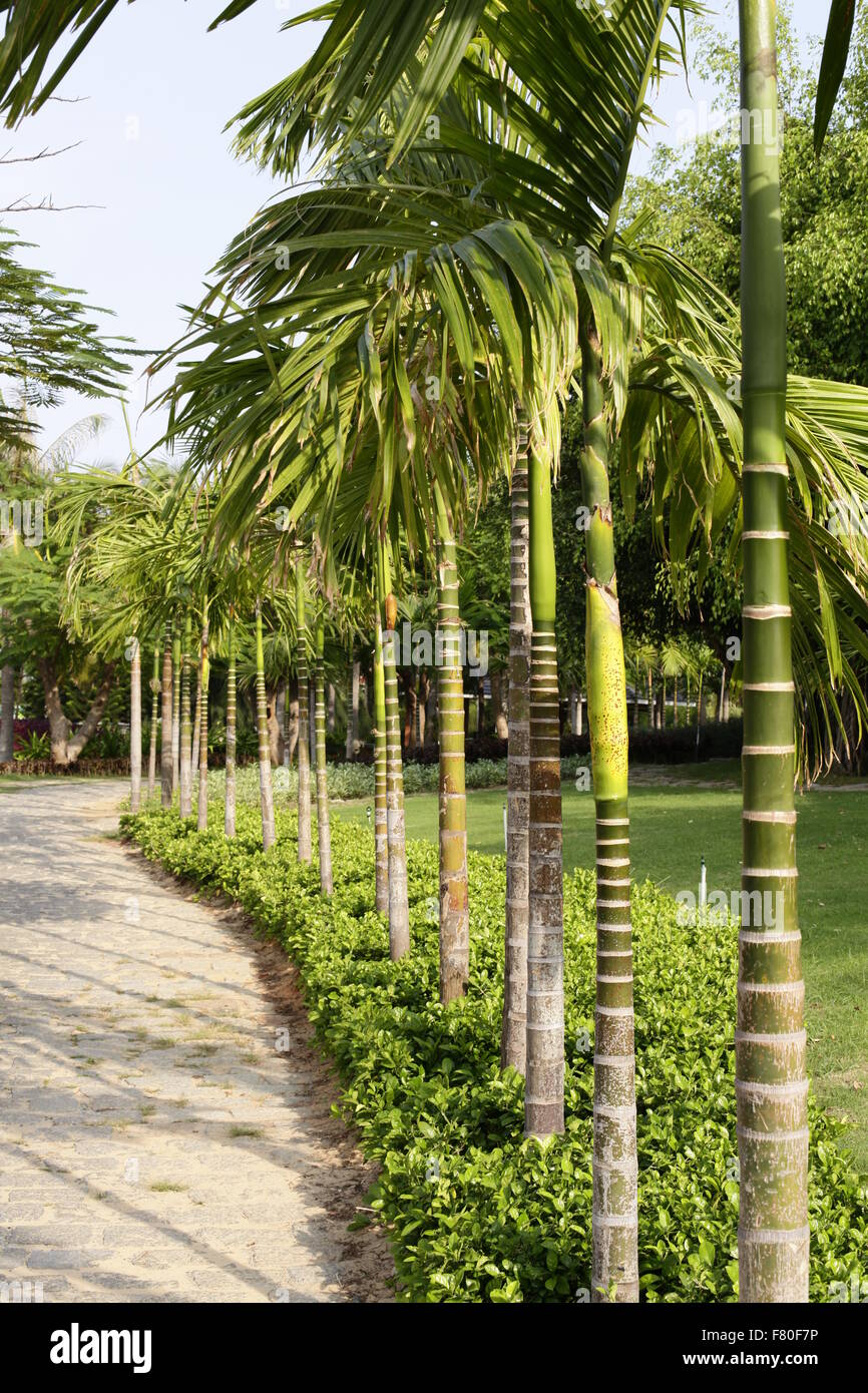 Green Landscape formal Garden, trees, and grass Stock Photo - Alamy