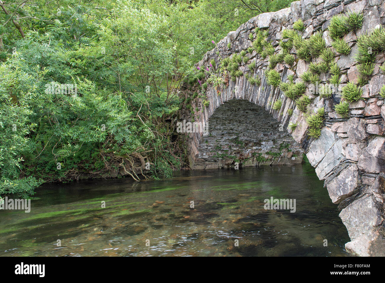 Clear water quickly flows under Scale bridge over Buttermere Dubs near ...