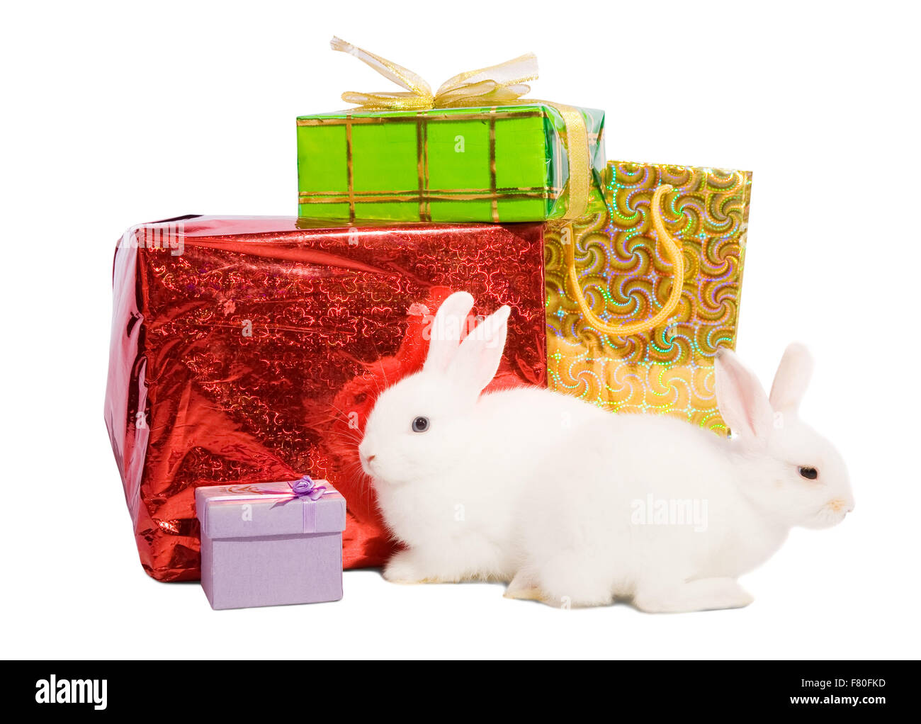 Two white rabbits with gifts. Isolated on white background Stock Photo ...