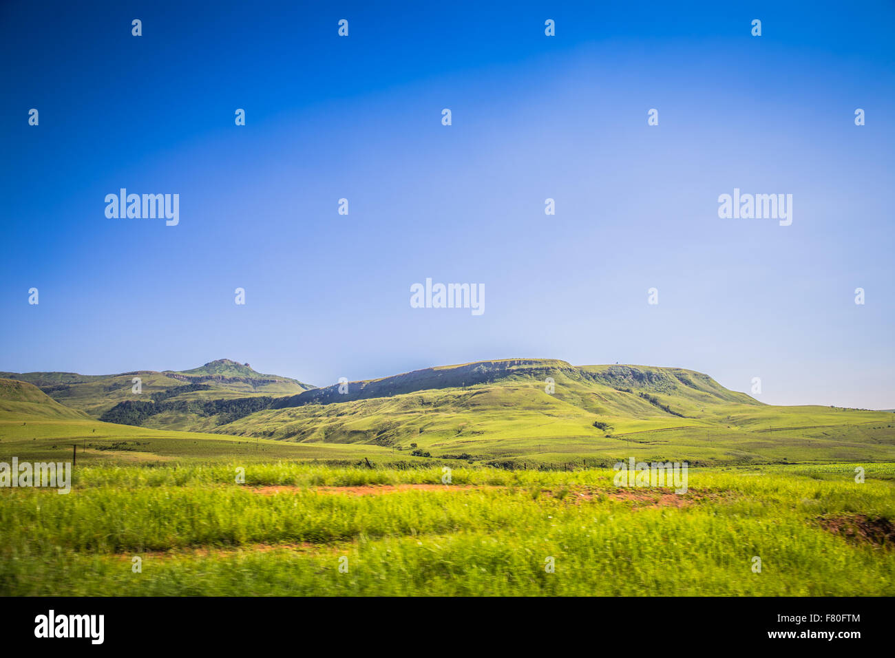 African beauty hi-res stock photography and images - Alamy