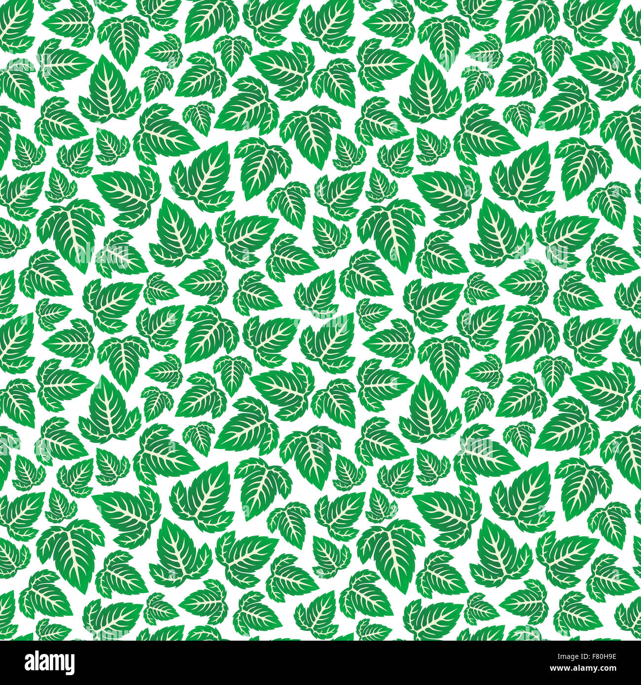 Seamless green leaves pattern on white background Stock Photo - Alamy