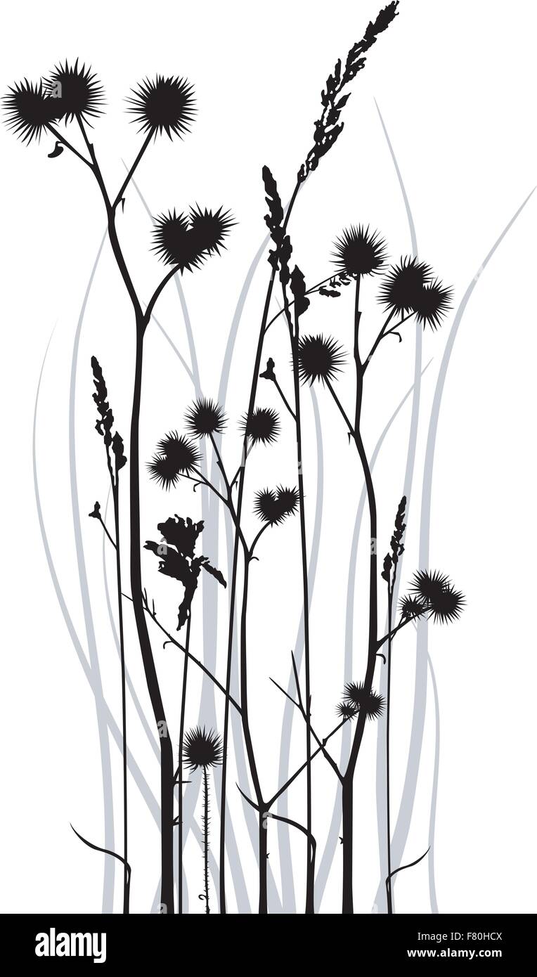 Bur Stock Vector Images - Alamy