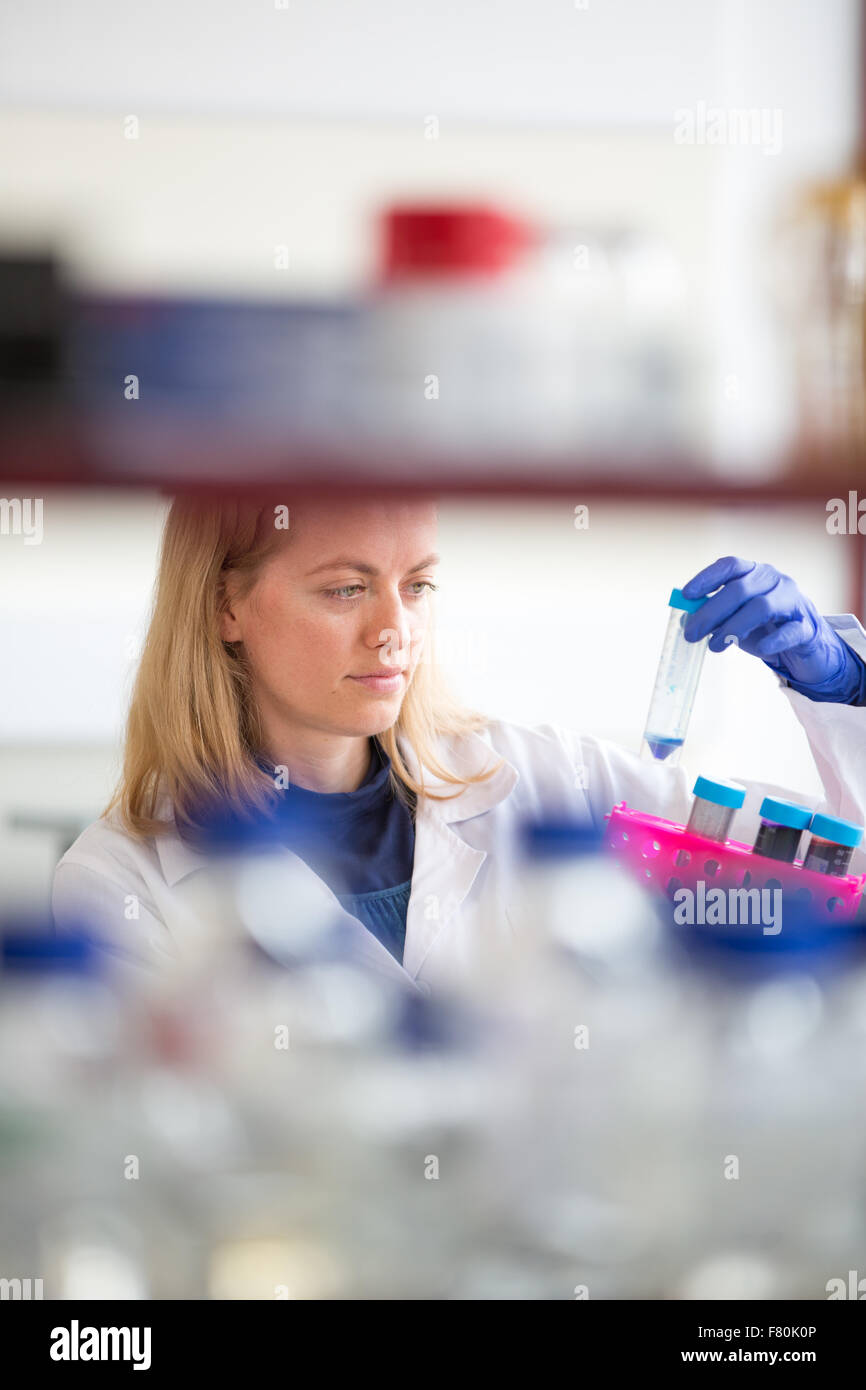 Portrait of a female researcher doing research in a lab (shallow DOF ...