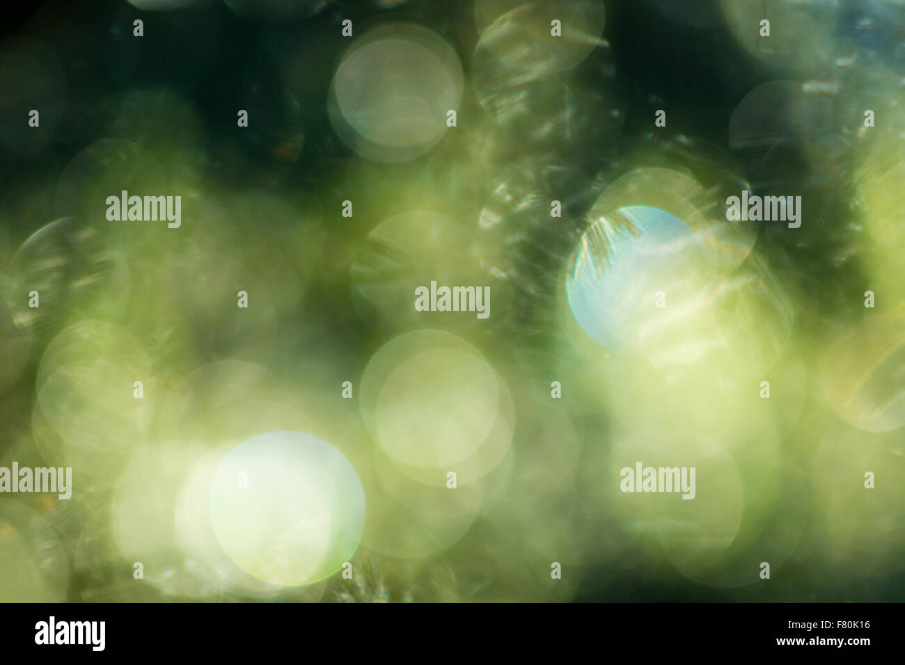 green bokeh abstract light background Stock Photo - Alamy green bokeh abstract light background Stock Photo - Alamy