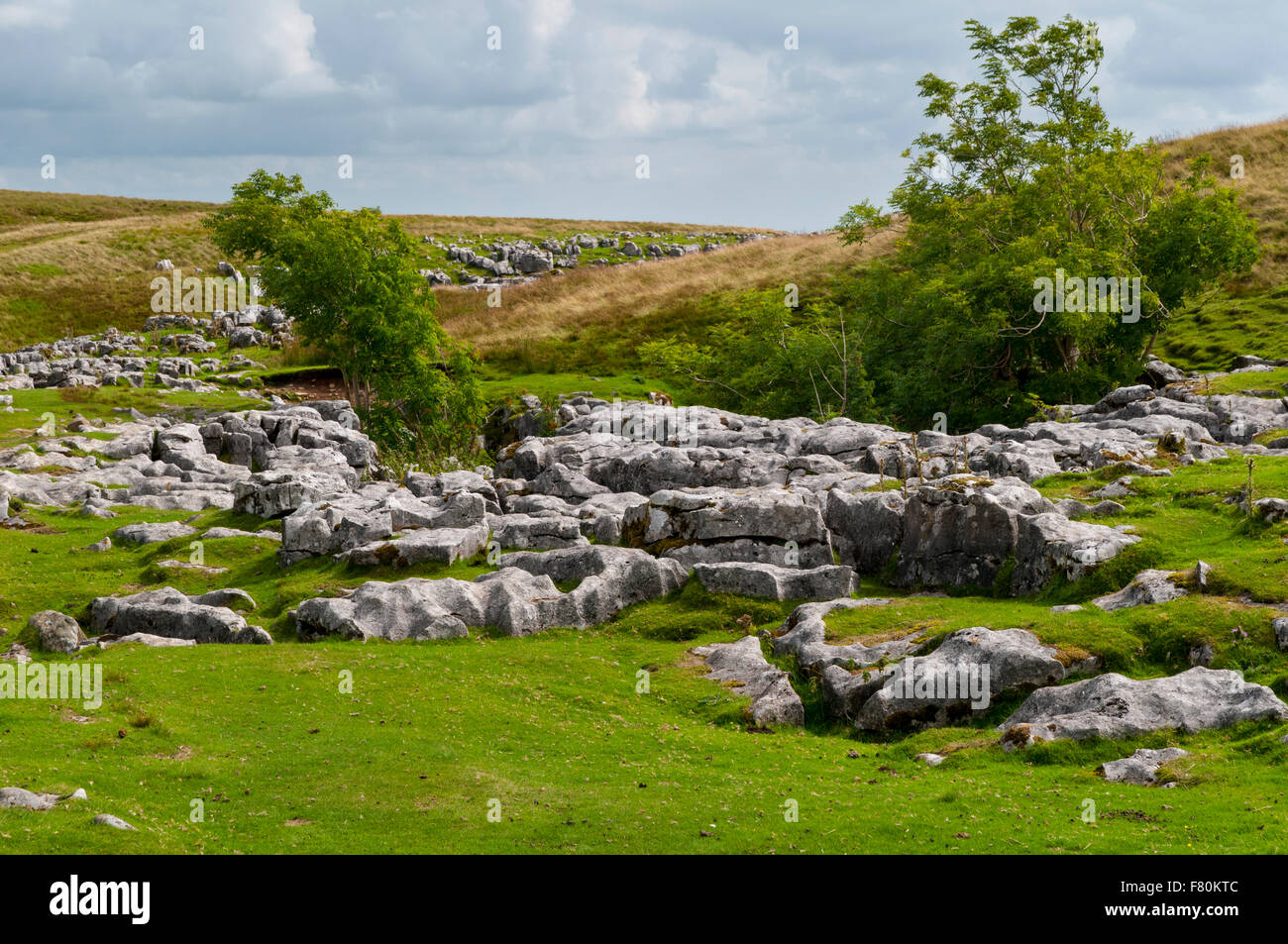 Outcrops of limestone showing typical erosion patterns of grikes and ...