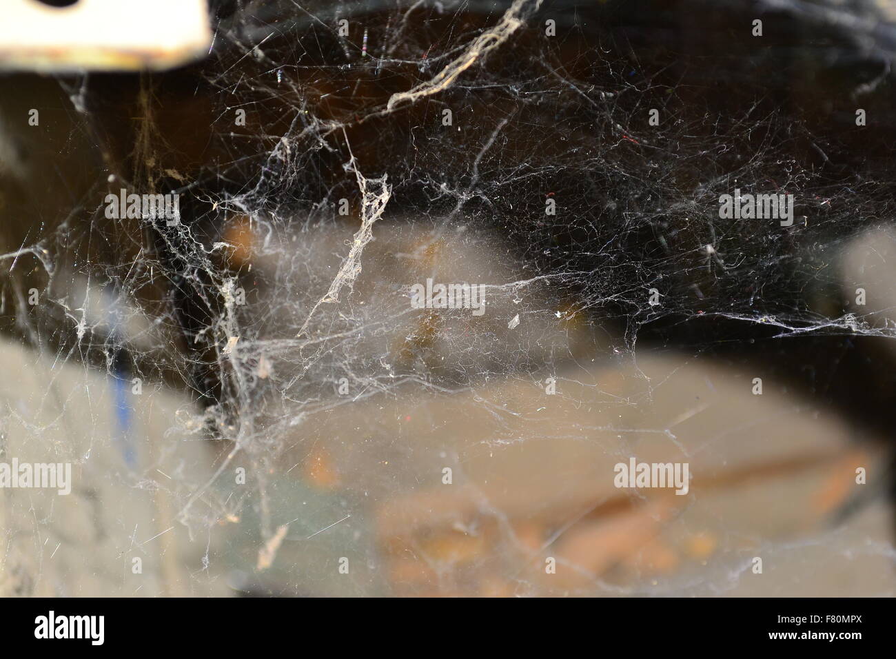 Knitting Spiders High Resolution Stock Photography and Images - Alamy