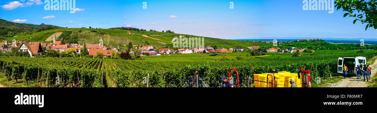 Ensisheim hi-res stock photography and images - Alamy