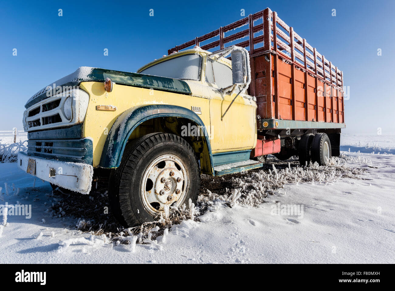 Ranch truck on a frosty morning in Oregon's Wallowa Valley Stock Photo ...