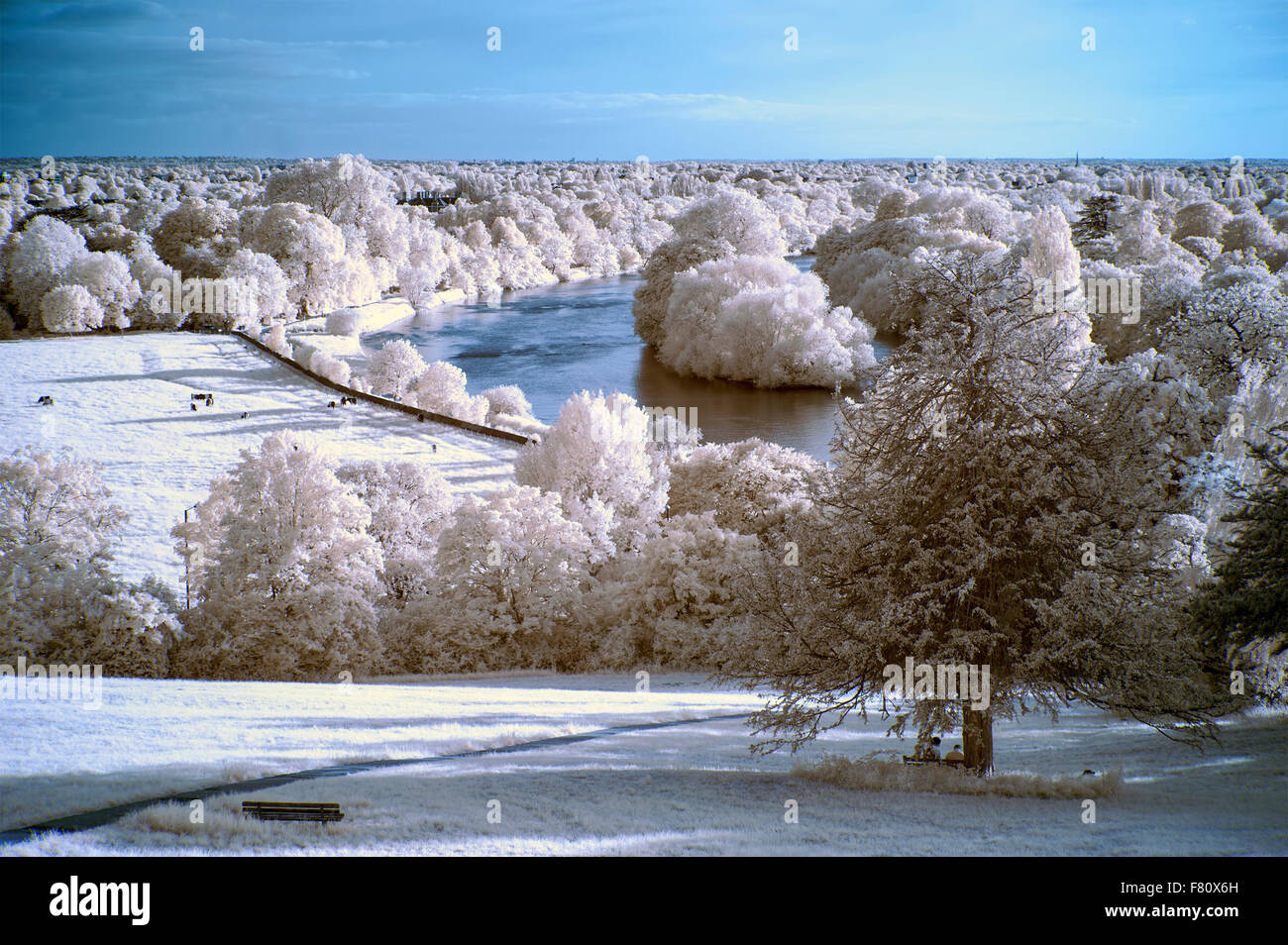 Stunning unique infra red landscape with false color impact Stock Photo ...