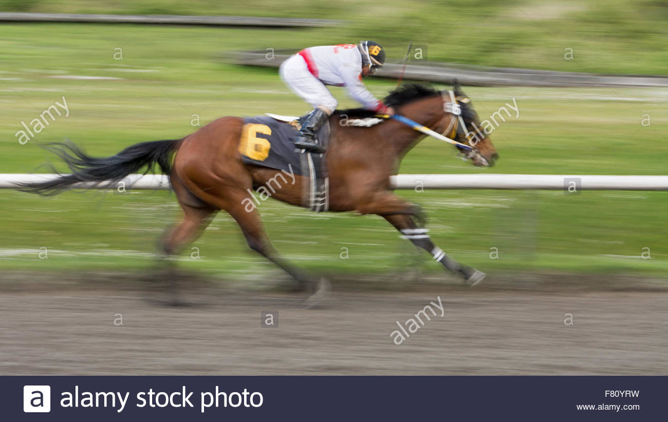 Horse Race Finish Line High Resolution Stock Photography and Images - Alamy